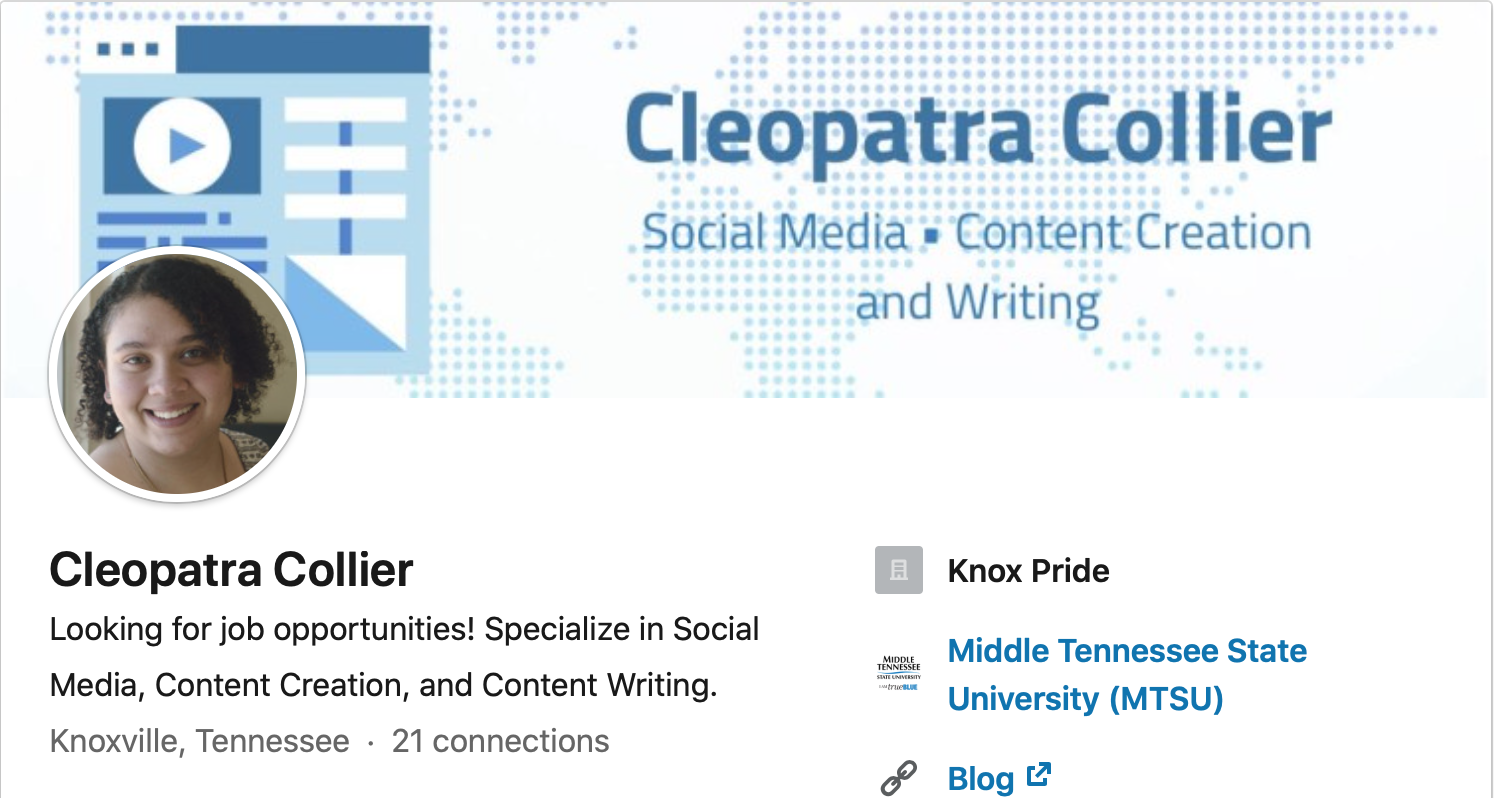 Custom LinkedIn Banners | Created by Cleo